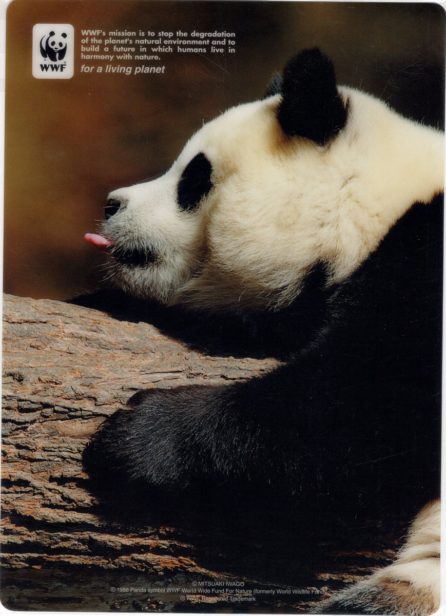 Sun Star WWF Vintage Panda Rare Plastic Pencil Writing Board ...