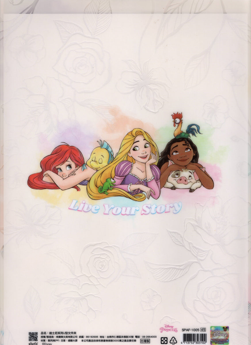 Disney Princesses Deadstock A4 File Folder – kawaiipaperdream